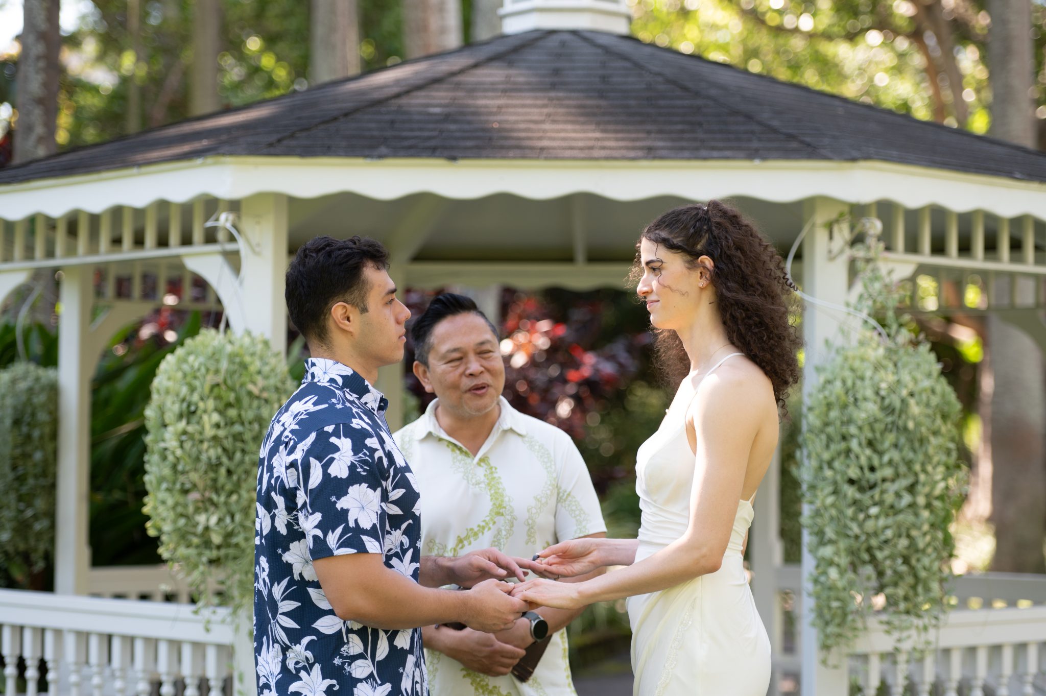 How to Get a Hawaii Marriage License Online (Step-by-Step With Official ...